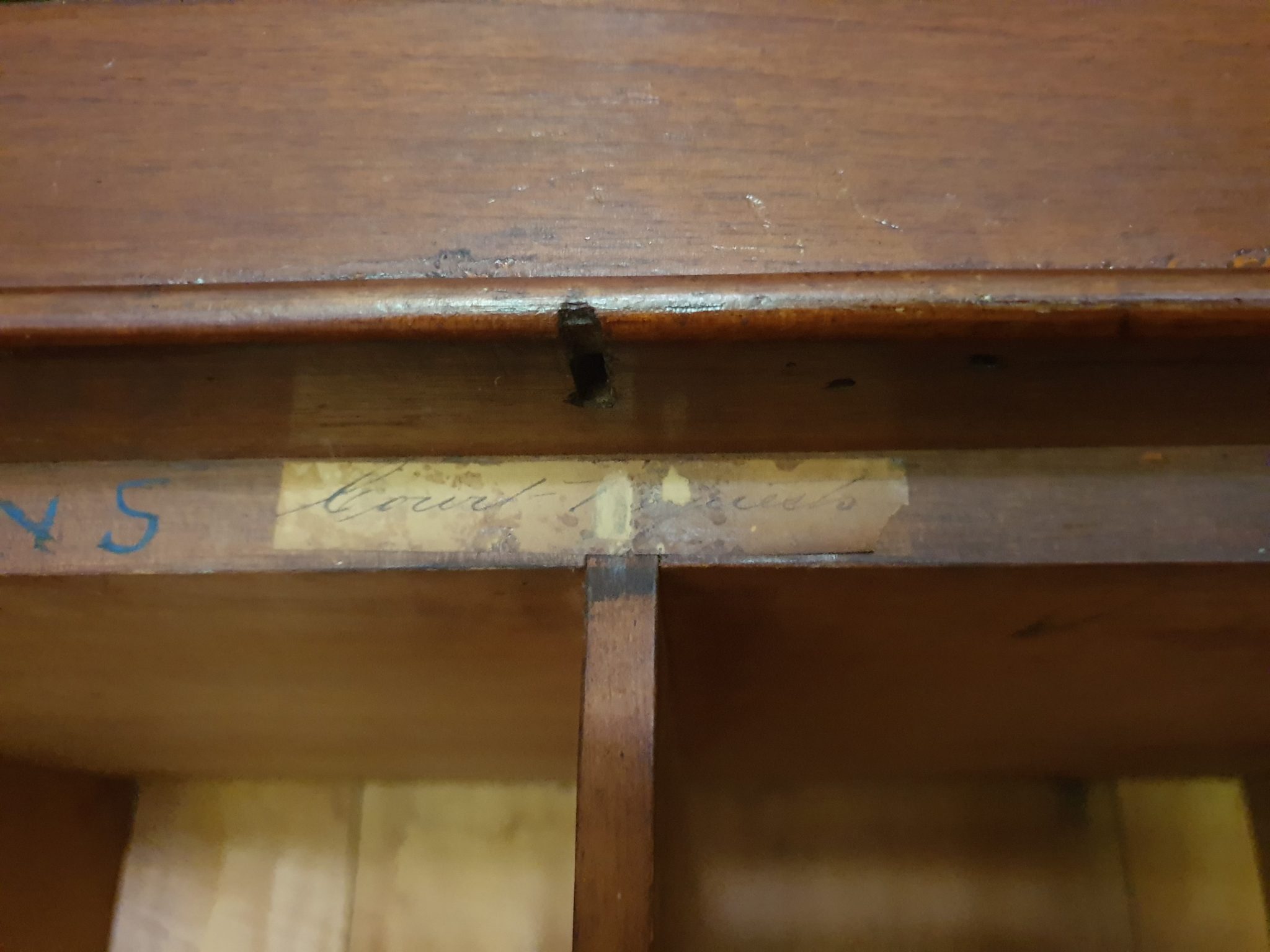 Police Office Cedar cupboard c 1860 - Warwick Oakman