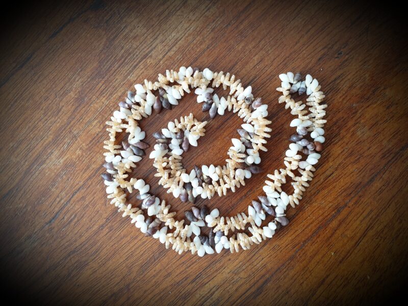 Tasmanian Aboriginal Shell Necklace - Warwick Oakman