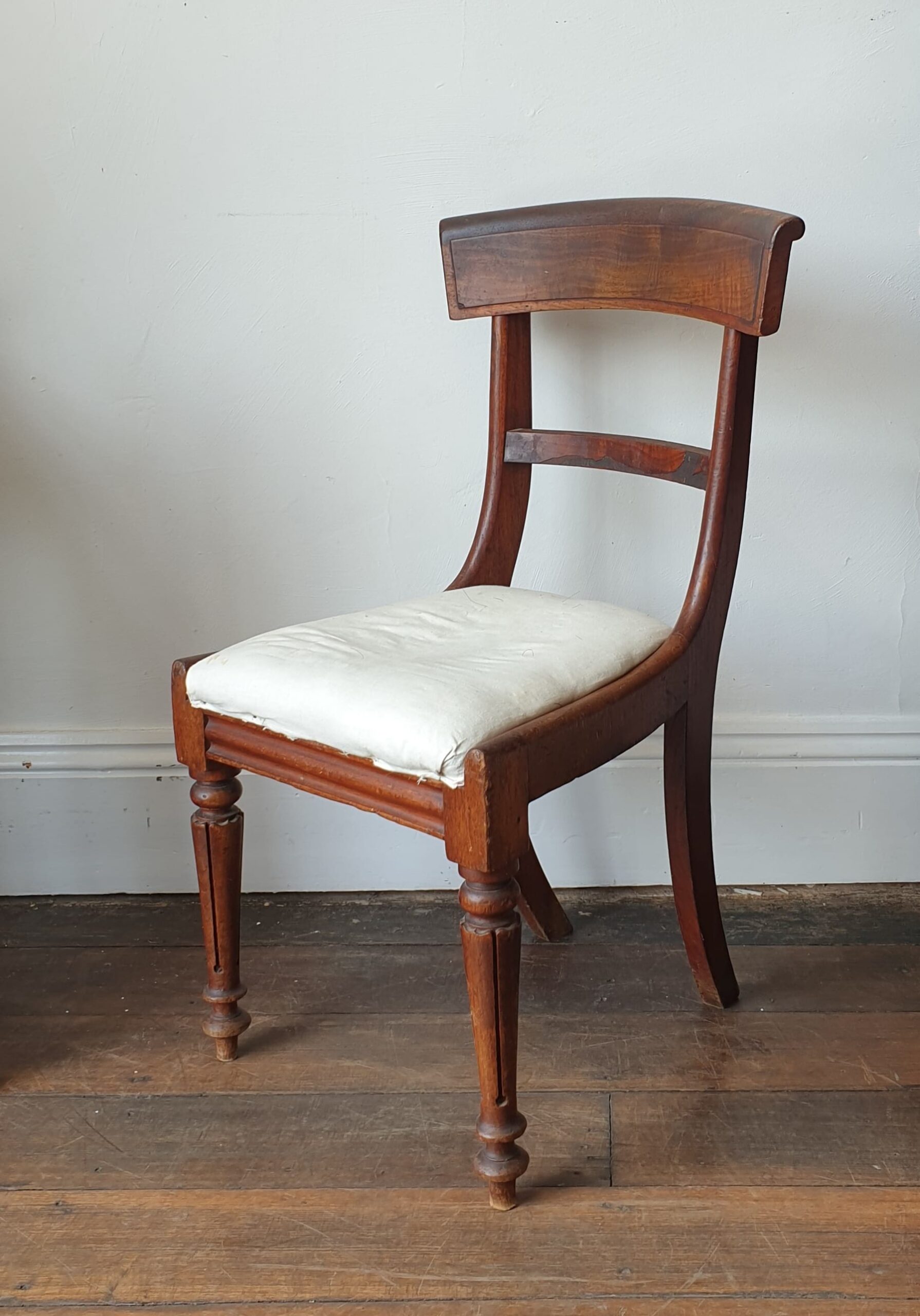 Tasmanian Colonial Cedar Trafalgar Chair c 1840 - Warwick Oakman