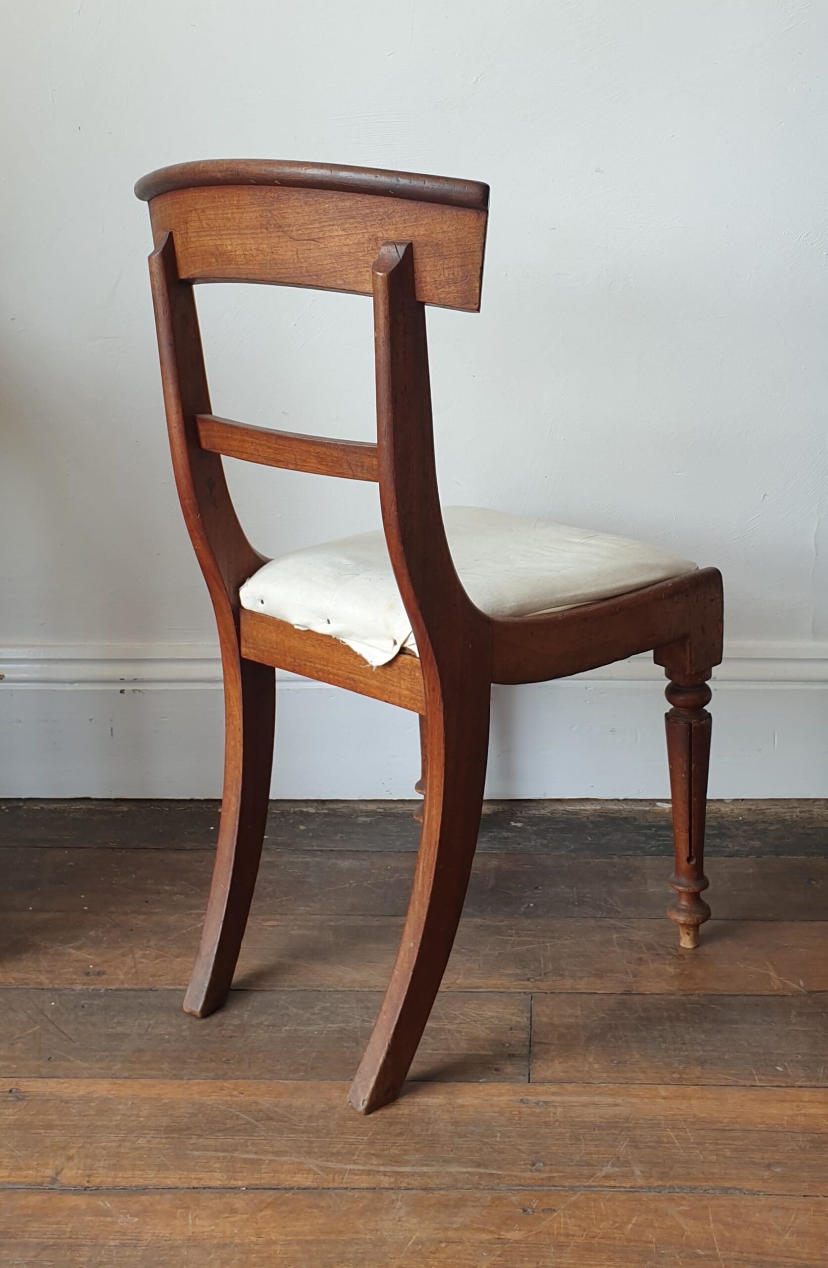 Tasmanian Colonial Cedar Trafalgar Chair c 1840 - Warwick Oakman